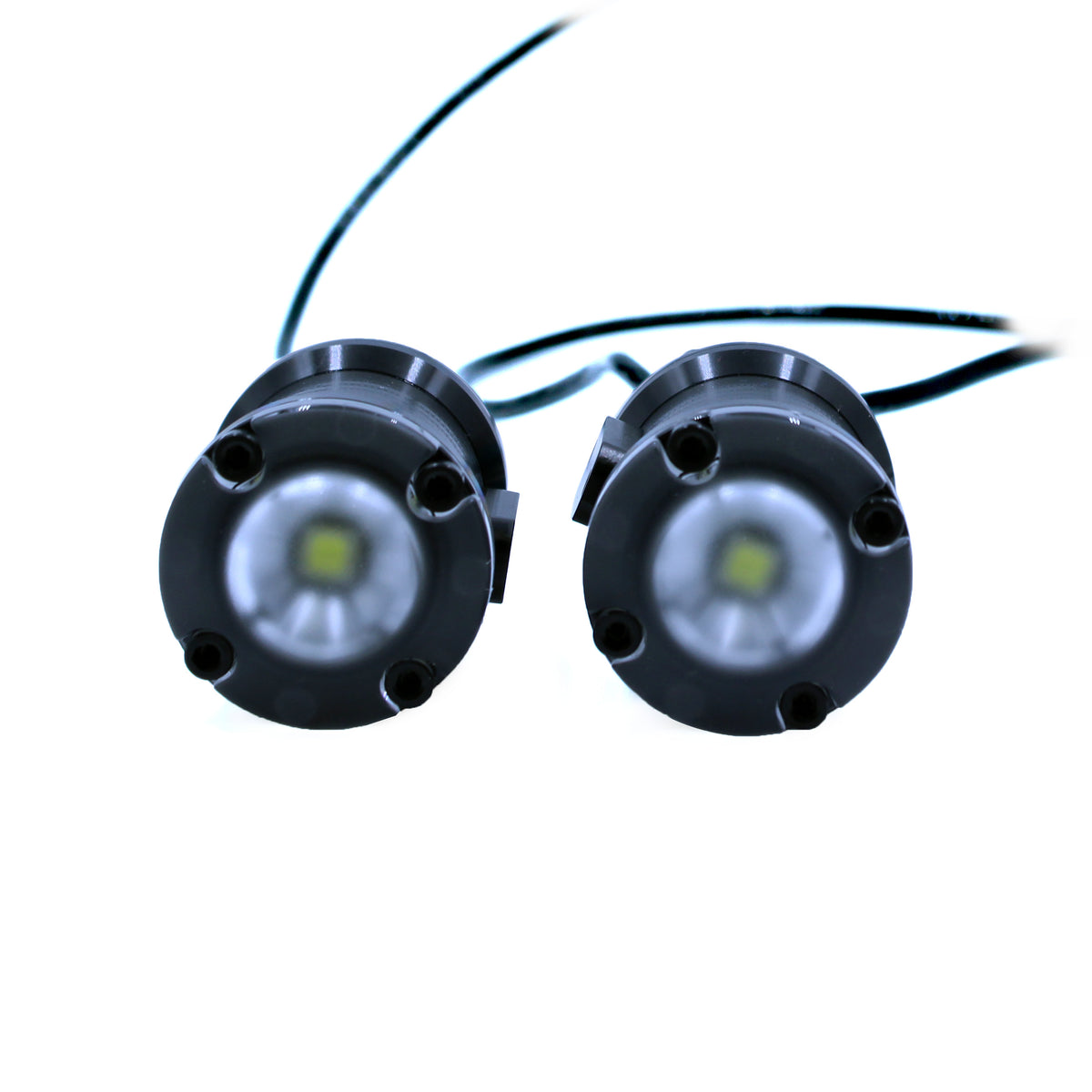 Blue Robotics Lumen Subsea Light (Pre-Connected Sets) – Aquabots Pte Ltd